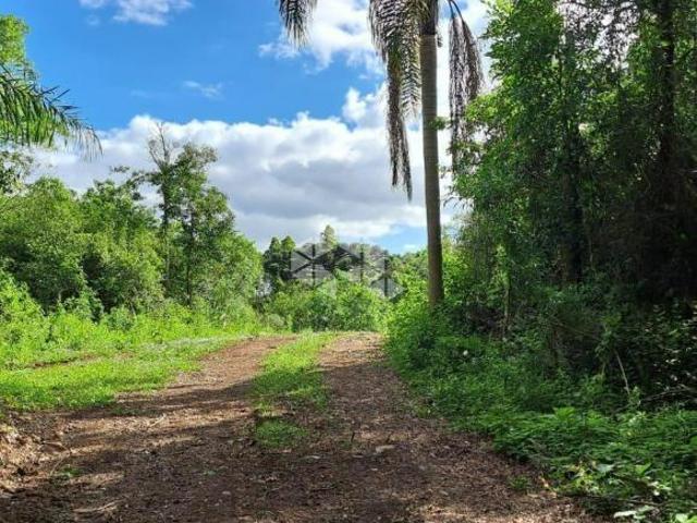 Excelente Área Próxima ao Centro de Farroupilha