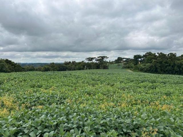Excelente Área Rural à Venda em Campo Magro – 5 Alqueires