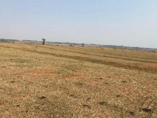 Excelente Área Rural à Venda – 27 Alqueires | Altíssimo Potencial Agrícola