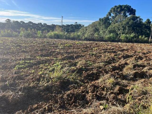 Excelente Área Rural de São José dos Pinhais, São José dos Pinhais, PR