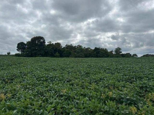 Excelente área rural localizada em Campo Magro/PR, com 5 alqueires