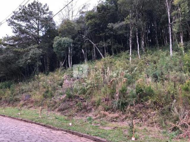 EXCELENTE E AMPLO TERRENO EM CANELA!