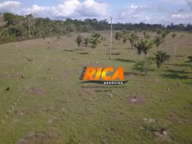 Excelente Fazenda á venda com 175 Hectares Zona Rural de Porto Velho RO