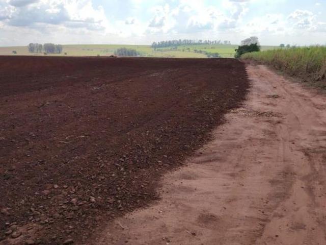 EXCELENTE FAZENDA A VENDA NA REGIÃO DE ARARAQUARA SP ?