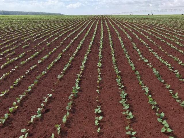 EXCELENTE FAZENDA À VENDA NA REGIÃO DE AVARÉ SP ?