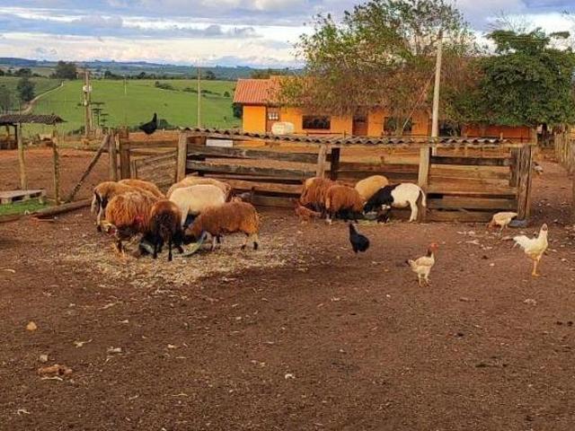 EXCELENTE FAZENDA A VENDA NA REGIÃO DE ITAPETININGA SP ? Área Total: 80 Alqueires Agricultura