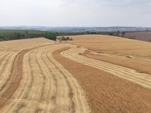 EXCELENTE FAZENDA A VENDA NA REGIÃO DE ITAPETININGA SP* ? Área Total: 342,7 Hectares ou 141,6