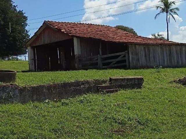 EXCELENTE FAZENDA A VENDA NA REGIÃO DE MARÍLIA SP* ? Fazenda Montada e Estruturada na Pecuária B
