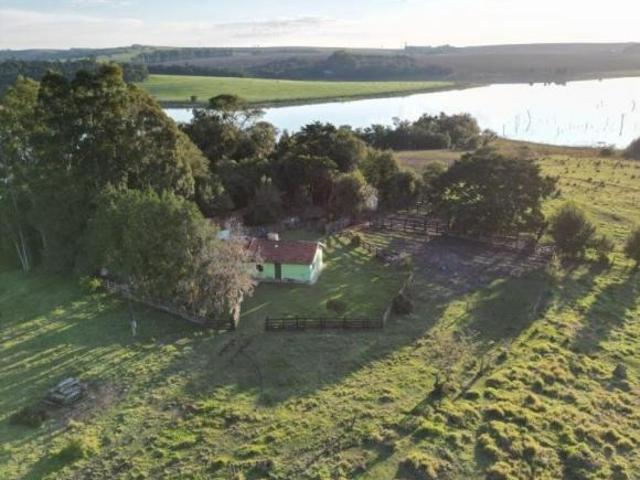 EXCELENTE FAZENDA A VENDA NA REGIÃO DE PARANAPANEMA / HOLAMBRA SP* ? Formação: Pastagem Área