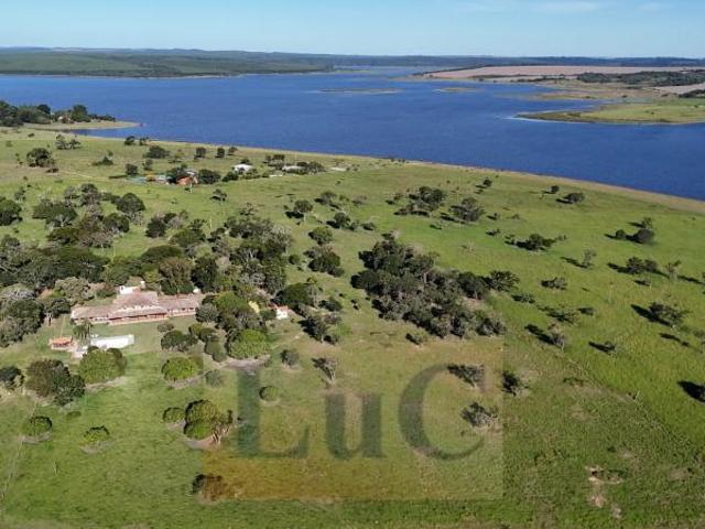 EXCELENTE FAZENDA A VENDA NA REGIÃO DE PARANAPANEMA SP