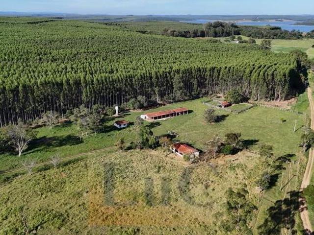 EXCELENTE FAZENDA A VENDA NA REGIÃO DE PARANAPANEMA SP
