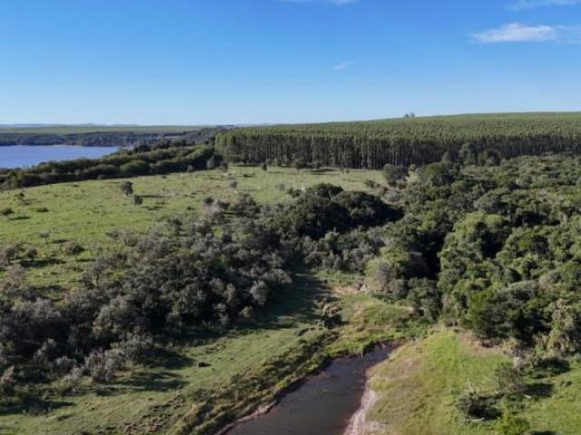 EXCELENTE FAZENDA A VENDA NA REGIÃO DE PARANAPANEMA SP* ? Área Total: 148 Alqueires ou 358,16 H