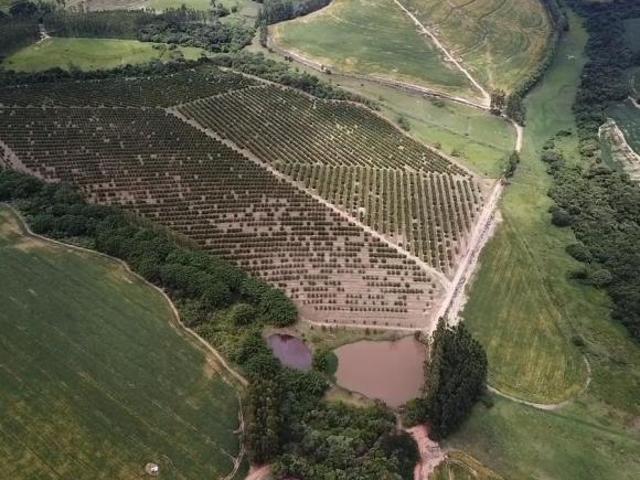 EXCELENTE FAZENDA A VENDA NA REGIÃO DE SOROCABA SP ? Formação: Agricultura de Grãos e Laranja Á