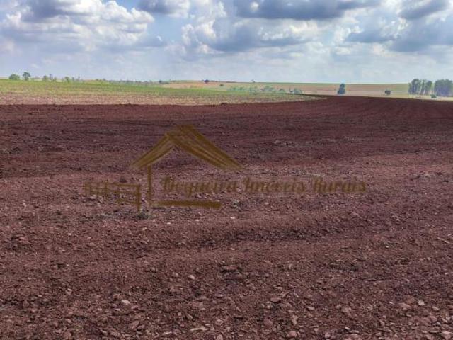Excelente Fazenda a venda com 804,62 alqueires na região de Araraquara SP