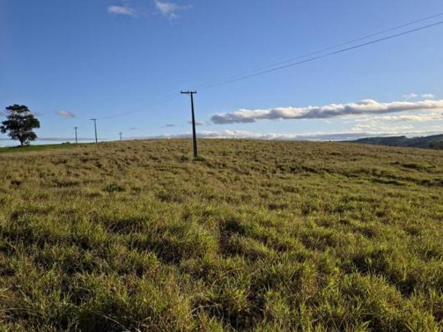 EXCELENTE FAZENDA A VENDA EM ITAPETININGA SP* ? Formação: Pecuária Bovina e Agricultura Área