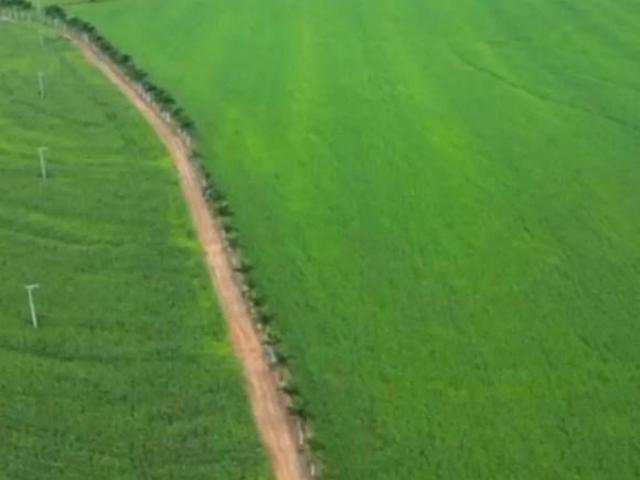 EXCELENTE FAZENDA A VENDA EM ITAPORANGA SP* ? Formação: Agricultura e Pecuária Bovina Área T