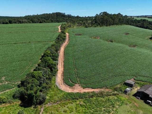 EXCELENTE FAZENDA A VENDA EM SÃO MIGUEL ARCANJO SP* ? Área Total: 181,5 Hectares ou 75 Alqueires