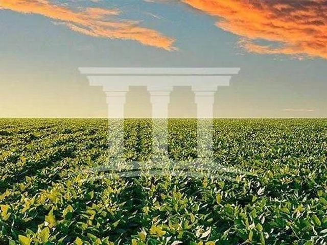 Excelente Fazenda à venda, 13.000 hectares com 8.500, aberto parte lavoura, restante ja foi lavoura