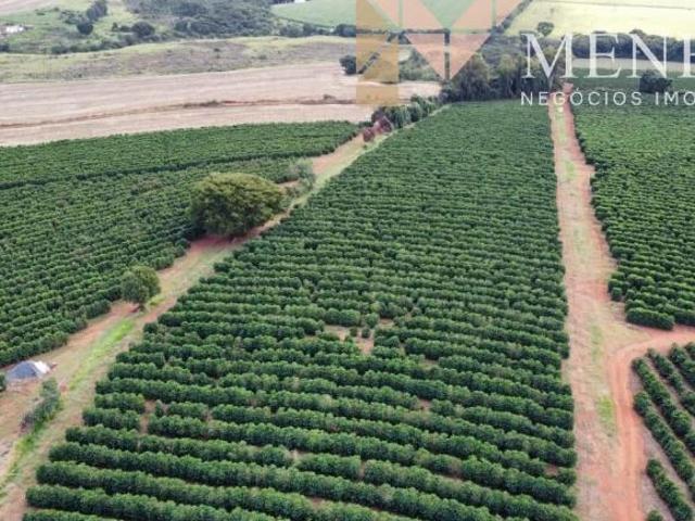 Excelente fazenda cafeeira à venda na região de Ibiraci