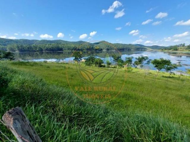 EXCELENTE FAZENDA COM 39,5 ALQUEIRES COM EUCALIPTO E REPRESA! FA00053