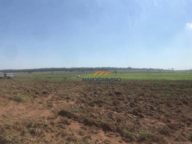 Excelente Fazenda, com 559 alqueires, por R$ 156.500.000, na Região de Bauru/SP