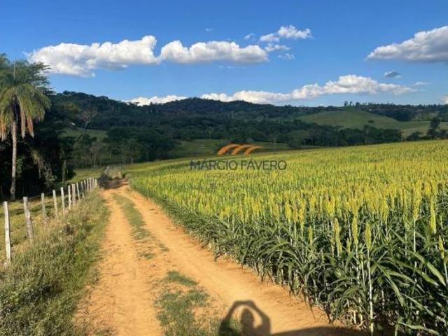 Excelente Fazenda com 94 alqueires, por R$ 28.200.000 Espírito Santo do Pinhal/SP