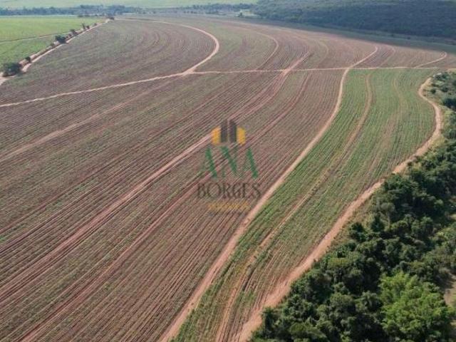 EXCELENTE FAZENDA COM CANA A VENDA EM ARARAQUARA