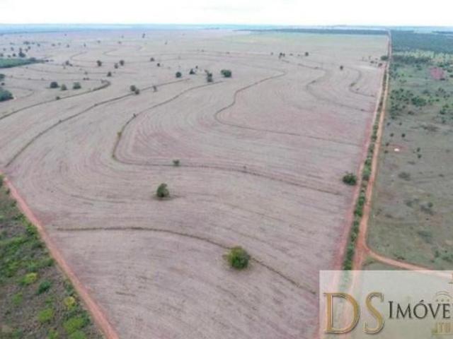 EXCELENTE FAZENDA COM CANA AS MARGENS DO RIO PARANÁ NO ESTADO DE SÃO PAULO, COM 697,7 ALQUEIRES DE Á