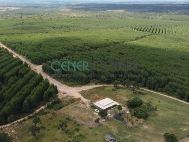 Excelente Fazenda de 722 ha com 305 ha de eucalipto em Curvelo
