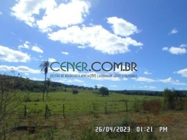 Excelente Fazenda de 1.500 ha com Linda Sede antiga e Pertinho de Montes Claros