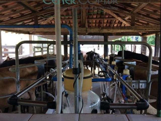Excelente Fazenda de 20 ha monta da para alta Produção de Leite em Belo Vale de porteira fechada