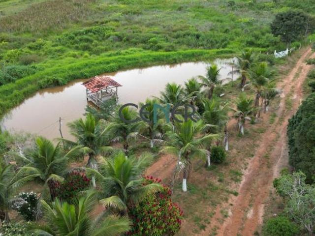 Excelente Fazenda de 216 ha de porteira fechada em Guanhães MG