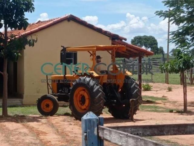 Excelente Fazenda de 225 ha toda Plana em Arinos MG