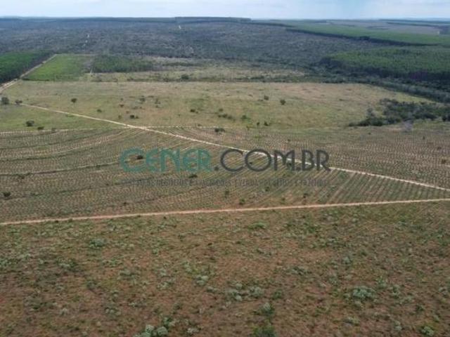 Excelente Fazenda de 242 ha em Pompeu com eucalipto e preparada para Lavouras