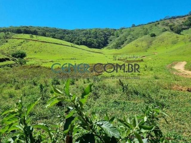 Excelente Fazenda de 273 ha nas Margens do Rio Piranga em Ponte nova MG