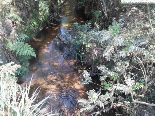 Excelente Fazenda de 320 ha toda Formada, altitude de 1.200 M Ótima Topografia