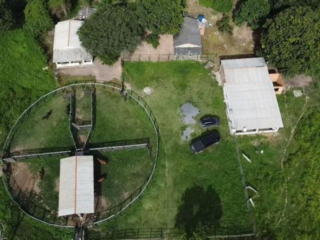 EXCELENTE FAZENDA DE PECUÁRIA NO ESTADO DE GOIÁS