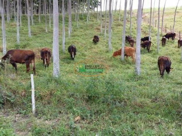 Excelente fazenda em Araçuai!