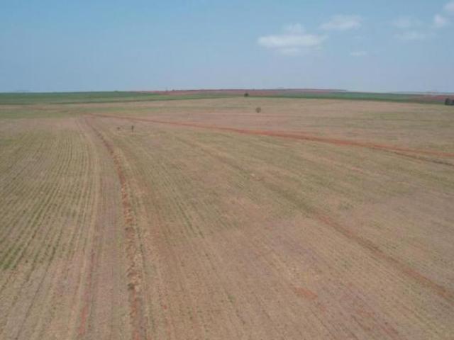 EXCELENTE FAZENDA EM CANA A VENDA NA REGIÃO DE PRESIDENTE PRUDENTE SP ? Área Total: 393 Alqueir
