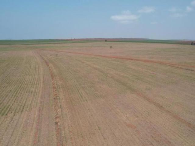 EXCELENTE FAZENDA EM CANA A VENDA NA REGIÃO DE PRESIDENTE PRUDENTE SP ? Área Total: 393 Alqueir