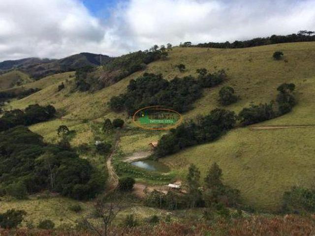 Excelente fazenda em Carvalhos!