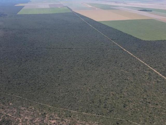 EXCELENTE FAZENDA EM CHAPADA GAÚCHA