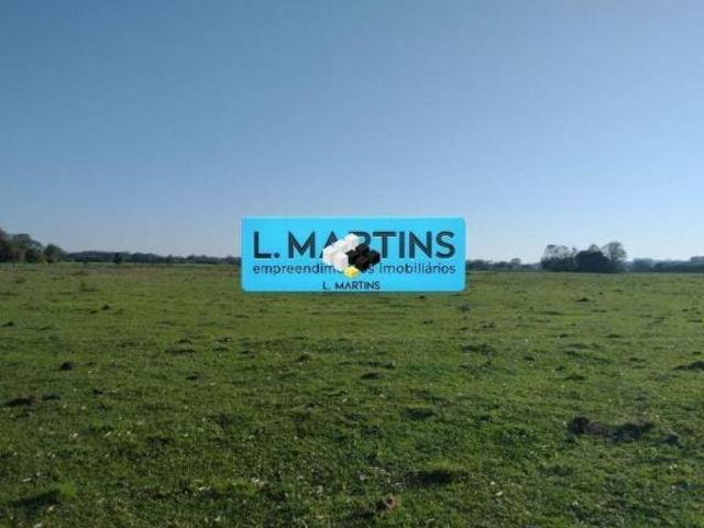 EXCELENTE FAZENDA EM CRISTAL/RS — 410 HECTARES | ABUNDÂNCIA DE ÁGUA