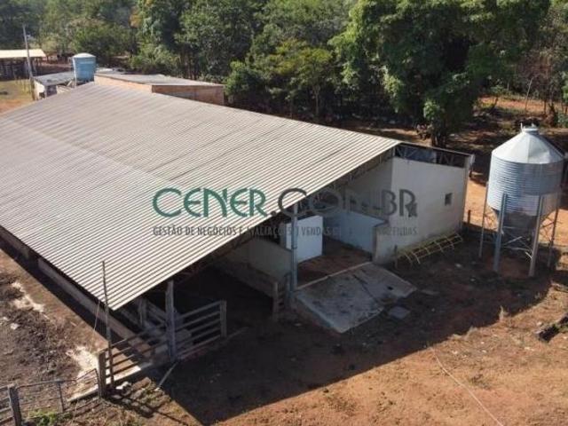 Excelente Fazenda Haras de 70 ha na Reg de Sete Lagoas Oportunidade