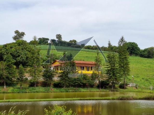 Excelente Fazenda no Área Rural de Três Corações I Café I Grãos I Pecuária