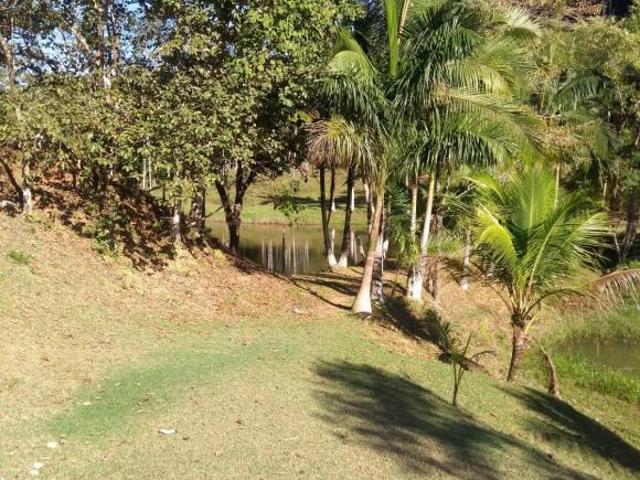 EXCELENTE FAZENDA PARA INVESTIDORES COD: 4853 F: 11 97302 9229 CESAR