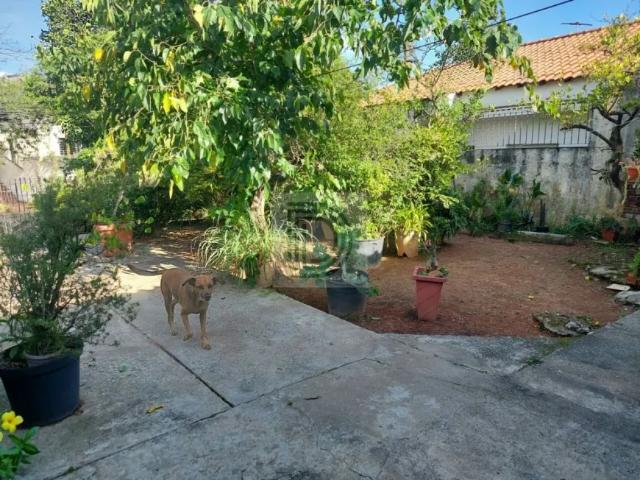 Excelente Imóvel Residencial e Comercial Ótima Oportunidade