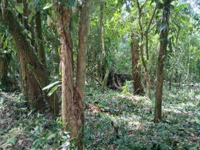 Excelente oportunidade em Ubatuba – Bairro da Figueira!