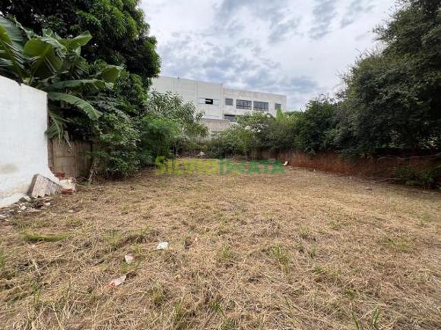 EXCELENTE OPORTUNIDADE! LOTE RESIDENCIAL LOCALIZAÇÃO PRIVILEGIADA ZONA 08!