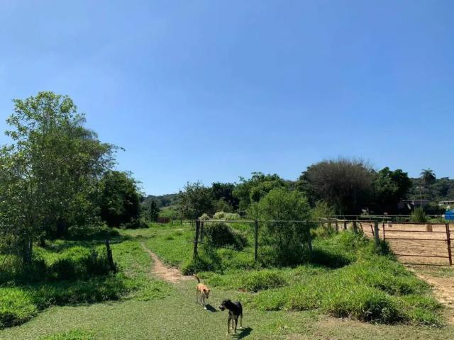 Excelente oportunidade para quem deseja um Haras